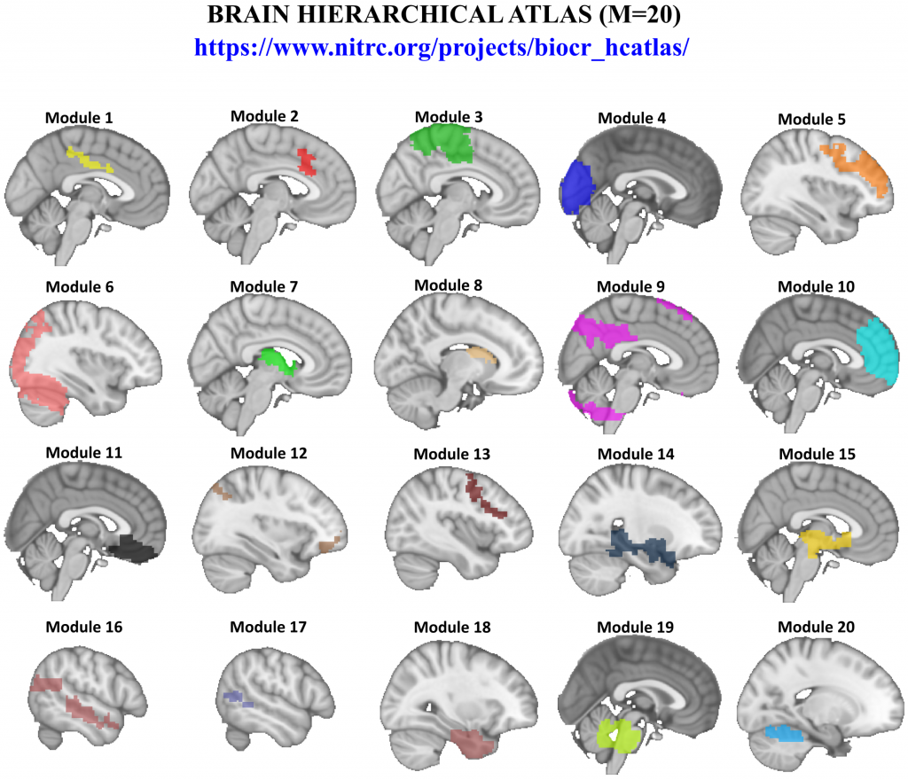 A novel brain partition highlights the modular skeleton shared by ...